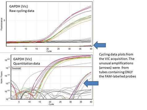 Qpcr Probes Selecting Reporter Dyes And Quenchers Idt 48 Off