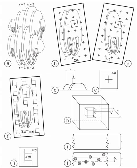 Scheme Of The Stereological Design A Random Selection Of K 2