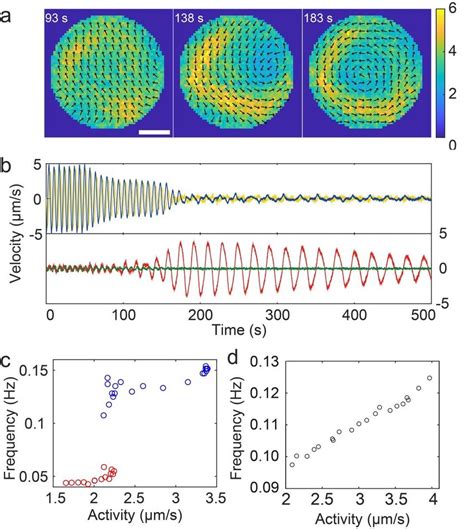 activity selectively excites the global motion modes and controls