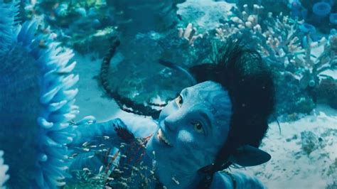 Multiple Avatar 2 Post Credit Scenes Hit Cinemas With Avatar Rerelease