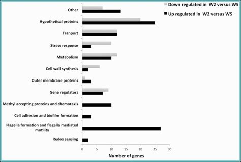 1099 Form Fillable Pdf 2018 Form Resume Examples 9x8rand3dr