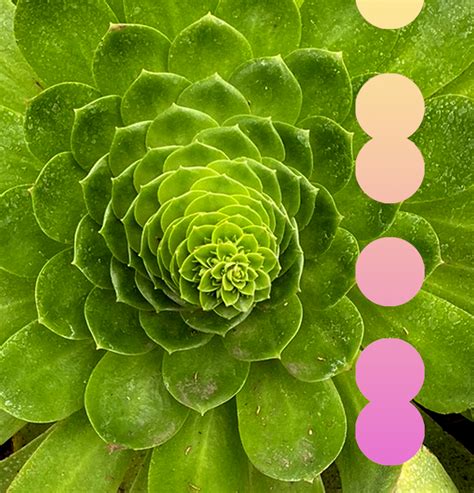 design principles 101 7 0 symmetrical sequence 2 elements 1 altered