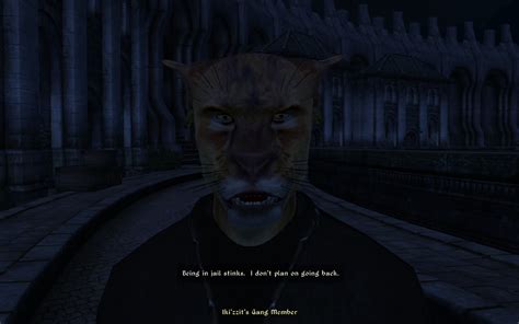 Need To Find A Mod Which Adds Specific Dialogue Line Oblivion