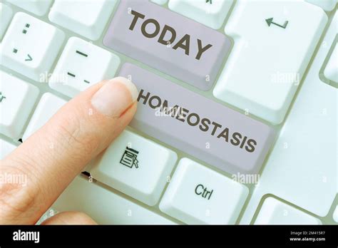 Text Sign Showing Homeostasis Internet Concept The Tendency Toward A Equilibrium Between