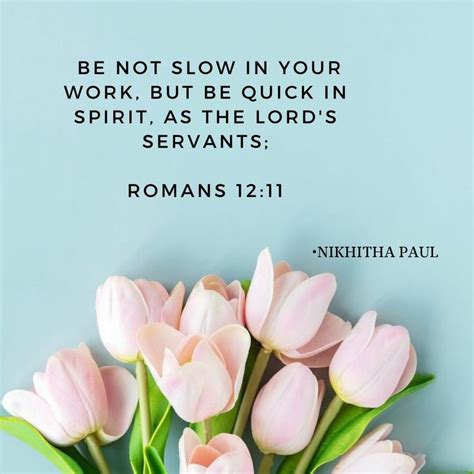 Inspirational Bible Verse With Pink Tulips