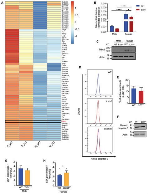 Thbs1 Suppression In Male Hscs Contributes To Latexin Mediated Download Scientific Diagram