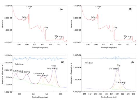 Survey Or Wide Energy Range X Ray Photoelectron Spectroscopy Xps