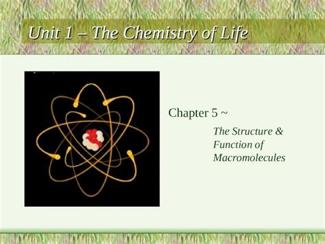 Ppt Unit 1 The Chemistry Of Life Chapter 5 ~ The Structure And Function Of Macromolecules