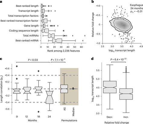 Observation Of Length Associated Transcriptome Imbalances A Importance