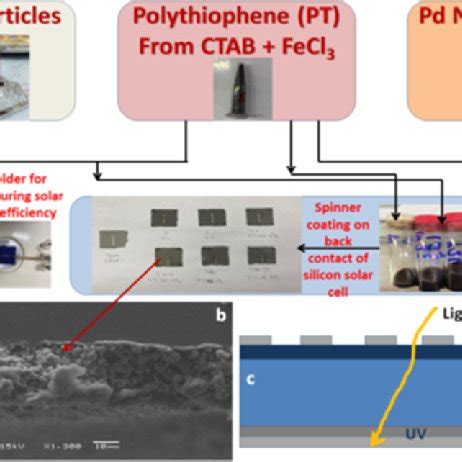A Flow Diagram Illustrating The Experimental Setup For Producing PT Download Scientific