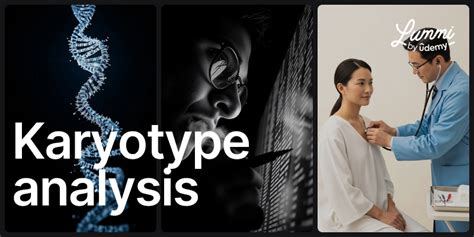 Karyotype Analysis Images — Free Hd Download On Lummi