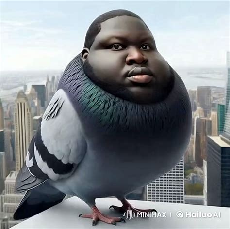 26 Sigeon Pex Ideas To Save In 2026 Funny Pictures Very Funny