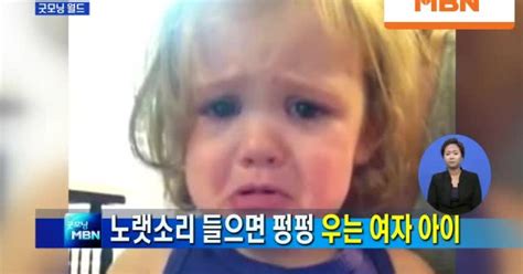 [굿모닝 월드] 벌레 먹이려고 싸우는 일본 소녀들