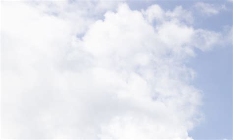 Galeria De Judith Guerra Limon Agrio