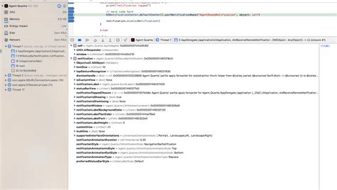 Multiple Ios Push Notification Causes Causes App To Crash Terminated