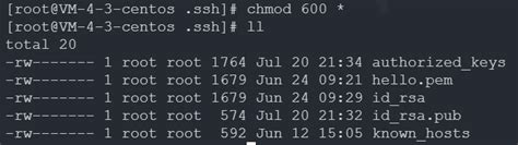 【全面解析】windows 如何使用 Ssh 密钥远程连接 Linux 服务器 阿里云开发者社区