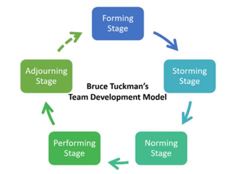 W10aptuckmans Stages Of Group Development Analysis The Pioneer