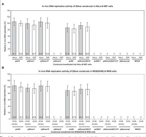 Figure 1 From Differential Chromatin Structure Encompassing Replication Origins In Transformed