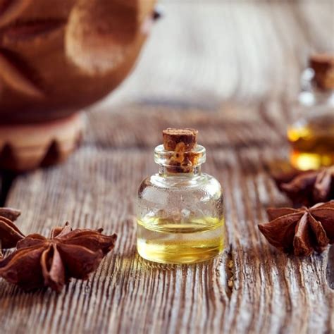 Tinh Dầu Hồi Thế Giới Nông Sản Sạch Group