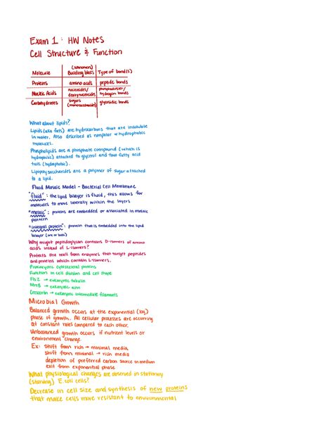 Exam 1 Summary Sheets Exam 1 Hwnotes Cell Structure Function Molecule Building Blocks