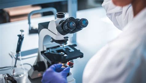 Ihc Protocol Boston Bioproducts