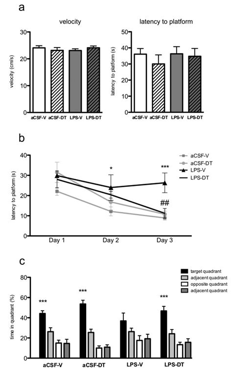 Morris Water Maze Test A Visible Platform Training There Was No Download Scientific
