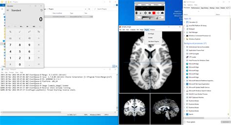 Mango Vulnerability Disclosure Report Redteam Tips