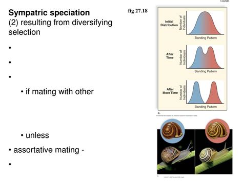 Ppt Macroevolution Speciation Tuesday 11 5 13 Powerpoint