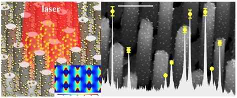 large area au nanoparticle functionalized si nanorod arrays for