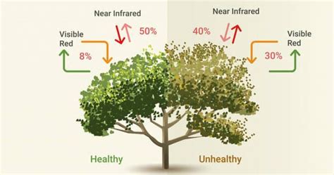 Ndvi Faqs Frequently Asked Questions About The Index