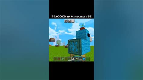 Minecraft Amazing Peacock Build Hack In Minecraft Pe Shortsvideo
