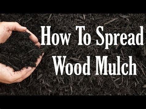 How To Spread Wood Mulch: Gardening Know How's Two Minute Gardening ...