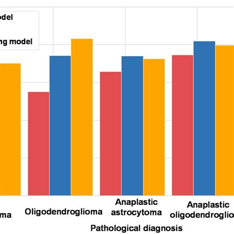the results of three types of machine learning models for segmentation