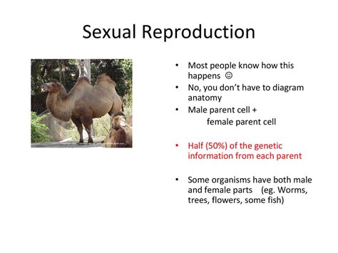 Comparing Reproduction Styles Ppt Download