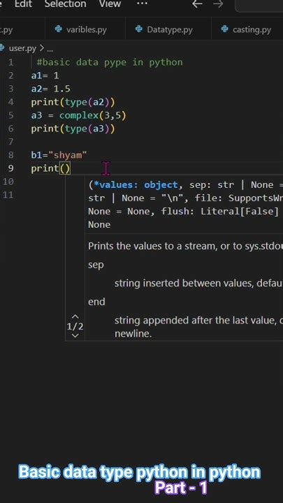 Basic Data Type In Python 👨‍💻pythonprogramming Python Class