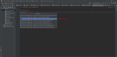 Selenium Python: Invoke Chrome Browser & Load Site to Automate