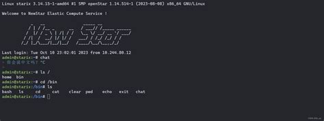 [newstarctf 2023] web题解 ctf web题 发现多个公司员工email csdn博客