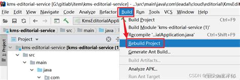 Idea运行项目出现 Module Was Compiled With An Incompatible Version Of Kotlin的解决方案module Was Conpiled