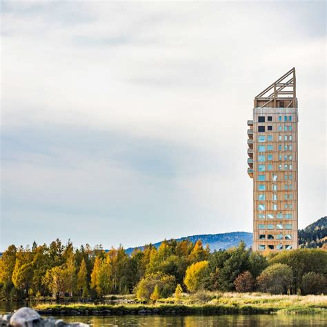 The Hidden Environmental Impacts Of Getting Mass Timber Wrong