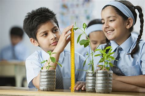STEM STATISTICS CENTENA FOUNDATION