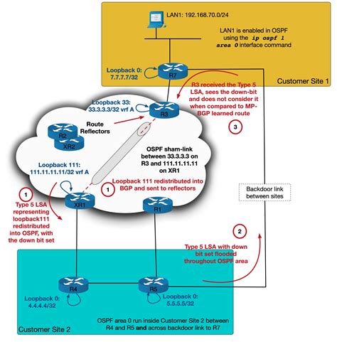 routing loop shambles netquirks