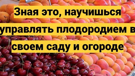 Продолжение. Создать сверхмощное плодородие - YouTube