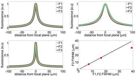 Comparison Of The Expected Sectioning Expressions Given By Each