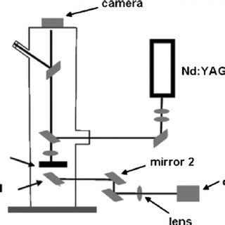 Change In The Coordinates Origin And Definition Of The Angle And Download Scientific Diagram