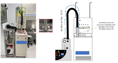 Evaluation Of The Impact Of A New Cooling Cell Processor System On Islet Cell Isolation Facility