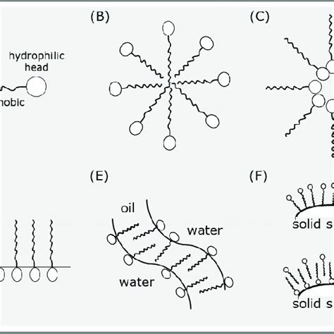 Different Surfactant States A Surfactant Monomer B Surfactant