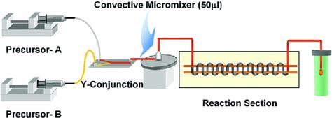 Schematic Illustration Of The Capillary Microreactor With A Serpentine