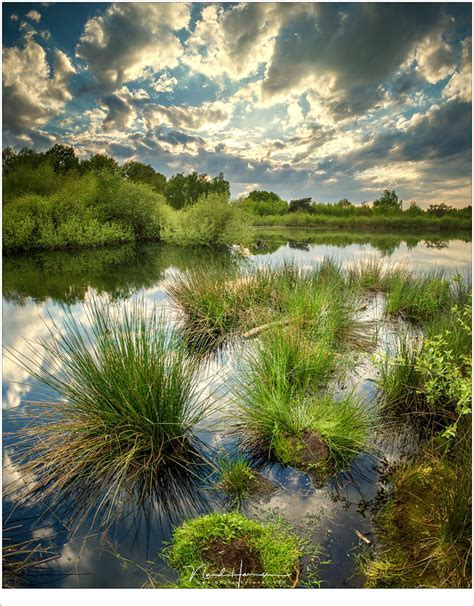 Use An Interesting Foreground For Your Landscape Photo Fstoppers