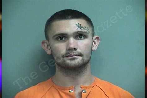 Michael Godwin Effingham County Jail Bookings
