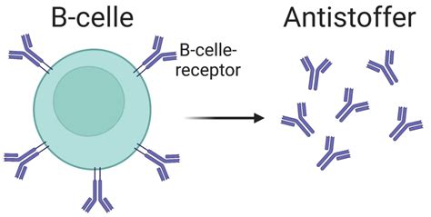 Antistof Biotech Academy